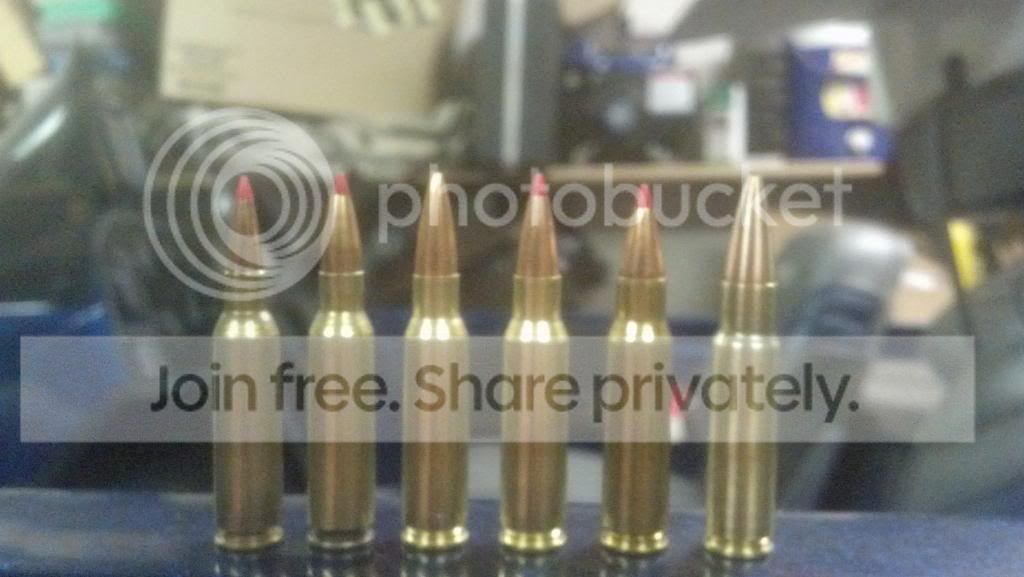 22X6.8 Prarrie Dog Nightmare > AR Variants > AR15.COM