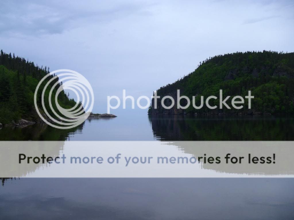 Rocks, trees, and water . . . - The Giraffe Boards